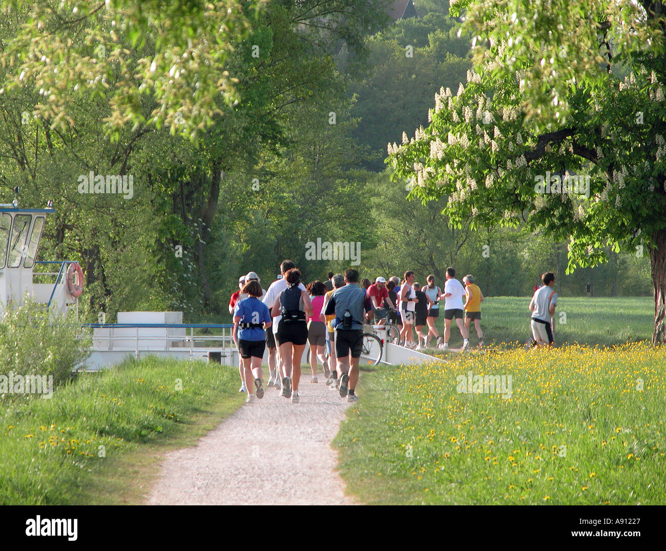 Men and women jogging down the banks of the river danube man jogging ...