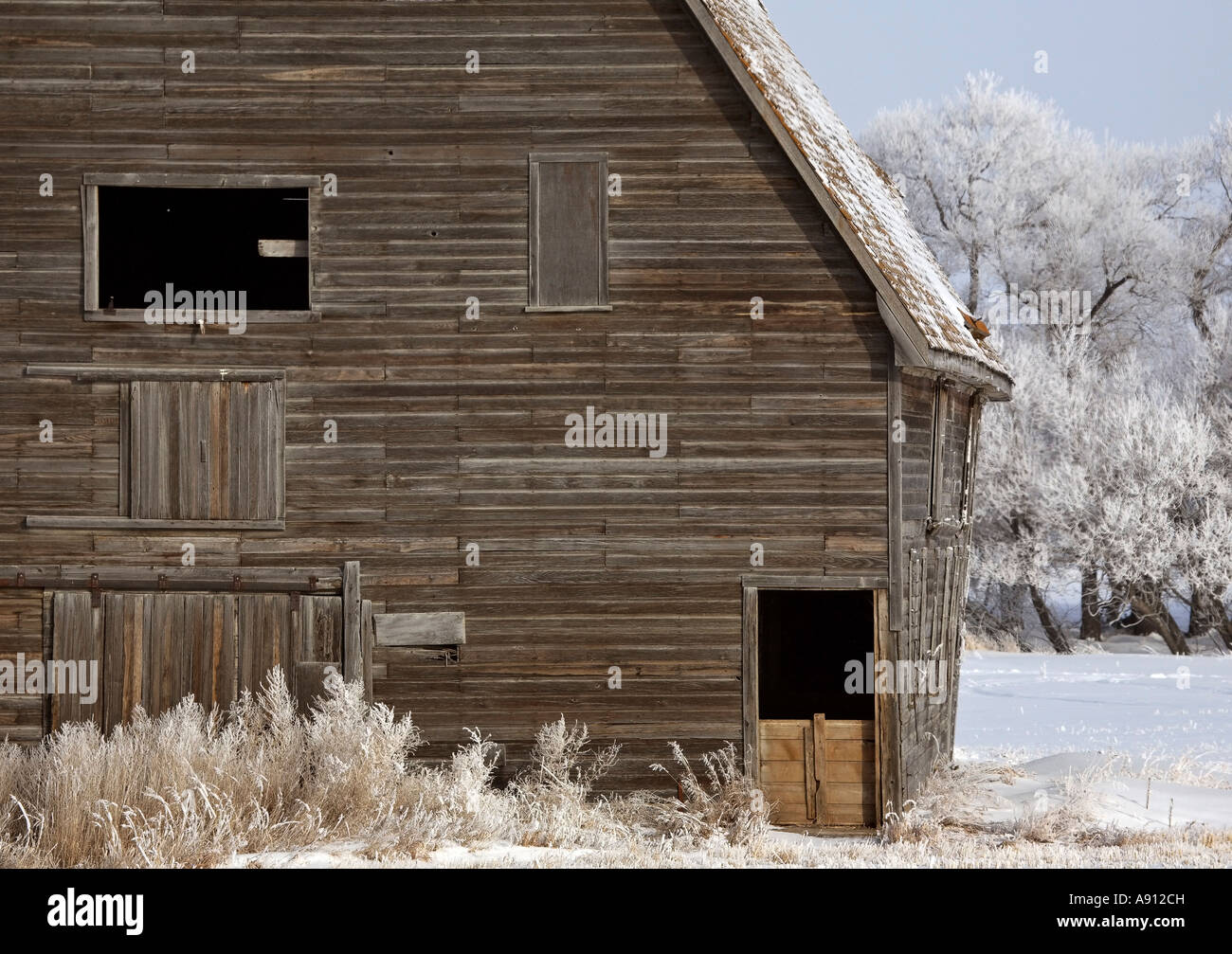 Old barn during a Saskatchewan winter Stock Photo - Alamy