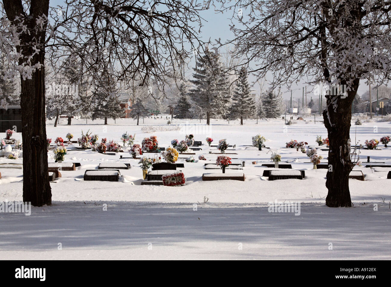 Moose Jaw Cemetery in winter Stock Photo - Alamy