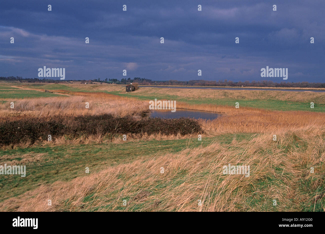 River wall dyke drainage ditches and reed beds Butley Creek marshes ...