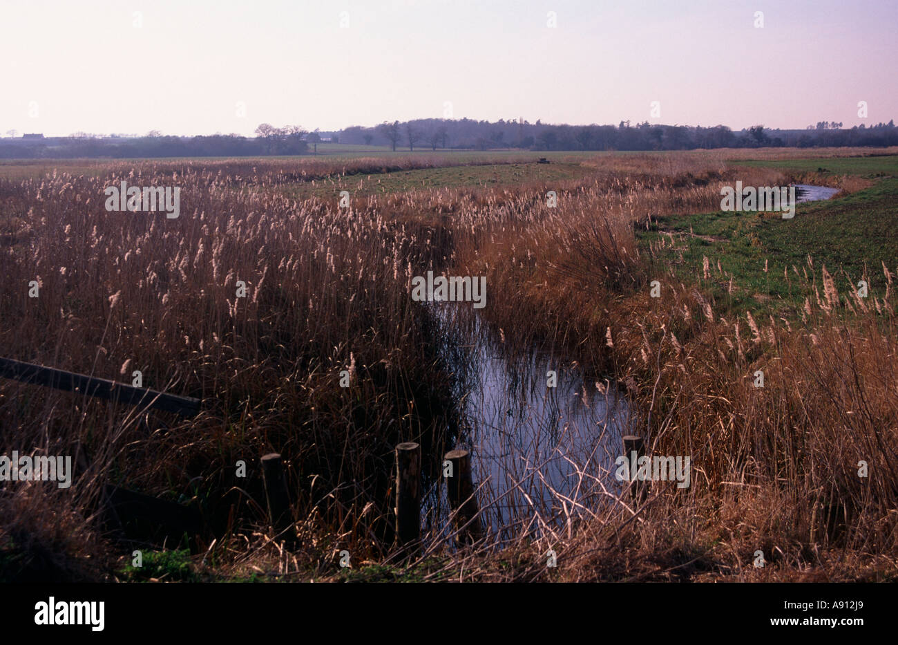 Marshland drainage hi-res stock photography and images - Alamy