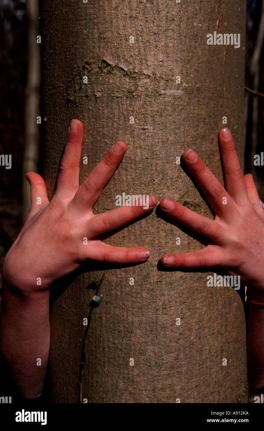 Two hands shown against a tree trunk Stock Photo - Alamy