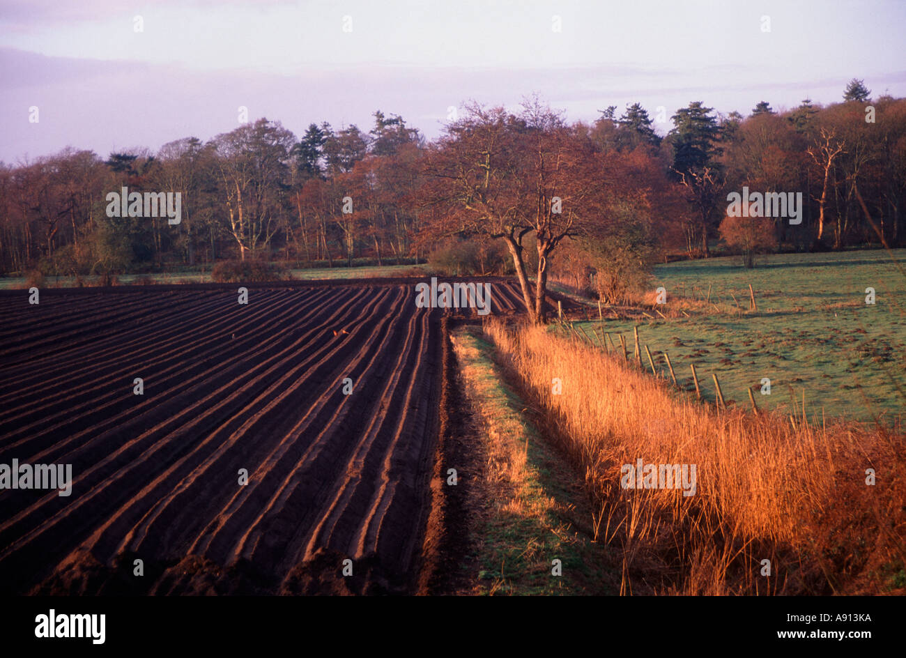 Ploughed field, pasture, drainage ditch and trees early spring Suffolk ...