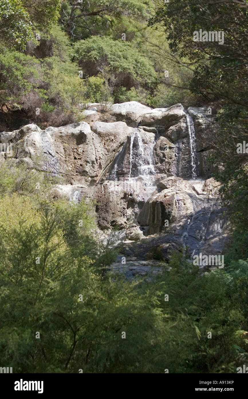 Hot sulphurous Kakahi water falls Hells Gate Maori owned geothermal ...