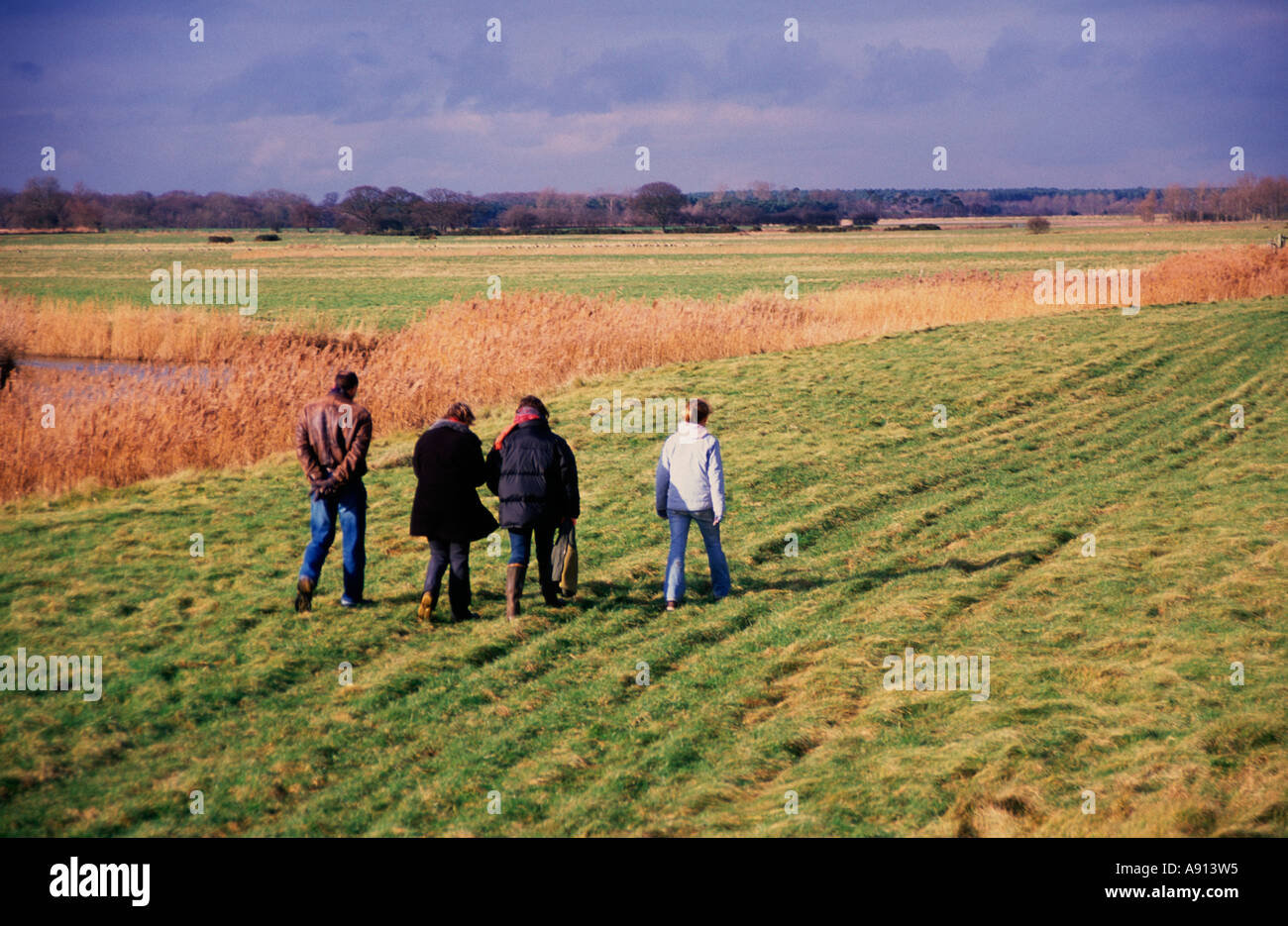 Four friends on a country walk through drained marshes near Butley ...