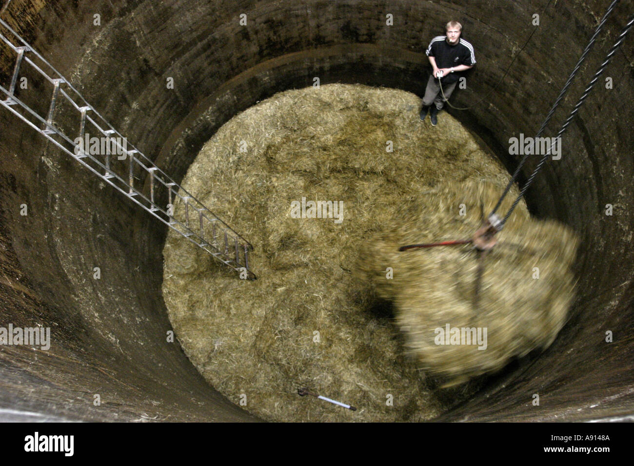 Hay silo interior Stock Photo, Royalty Free Image: 595082 - Alamy