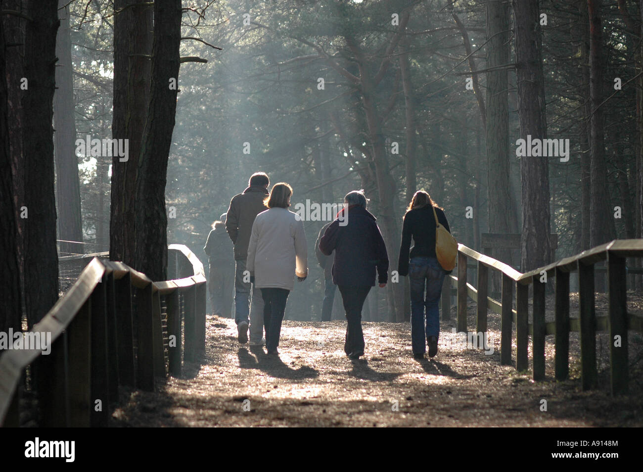 Walkers in Formby Woods, Merseyside, UK Stock Photo - Alamy