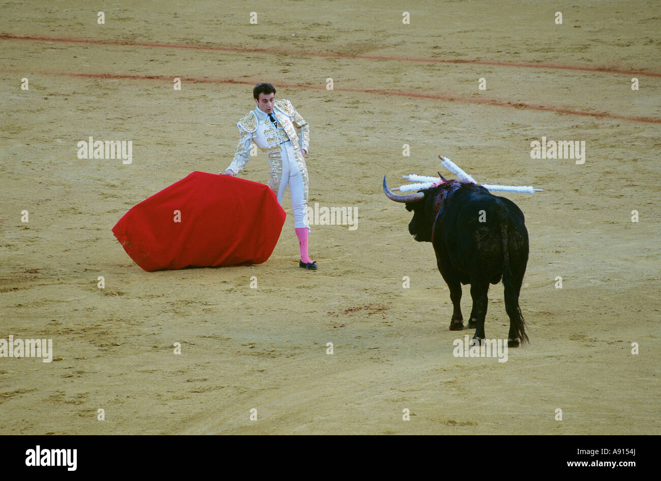Adult bullfight bullfighter bullfighting hi-res stock photography and ...
