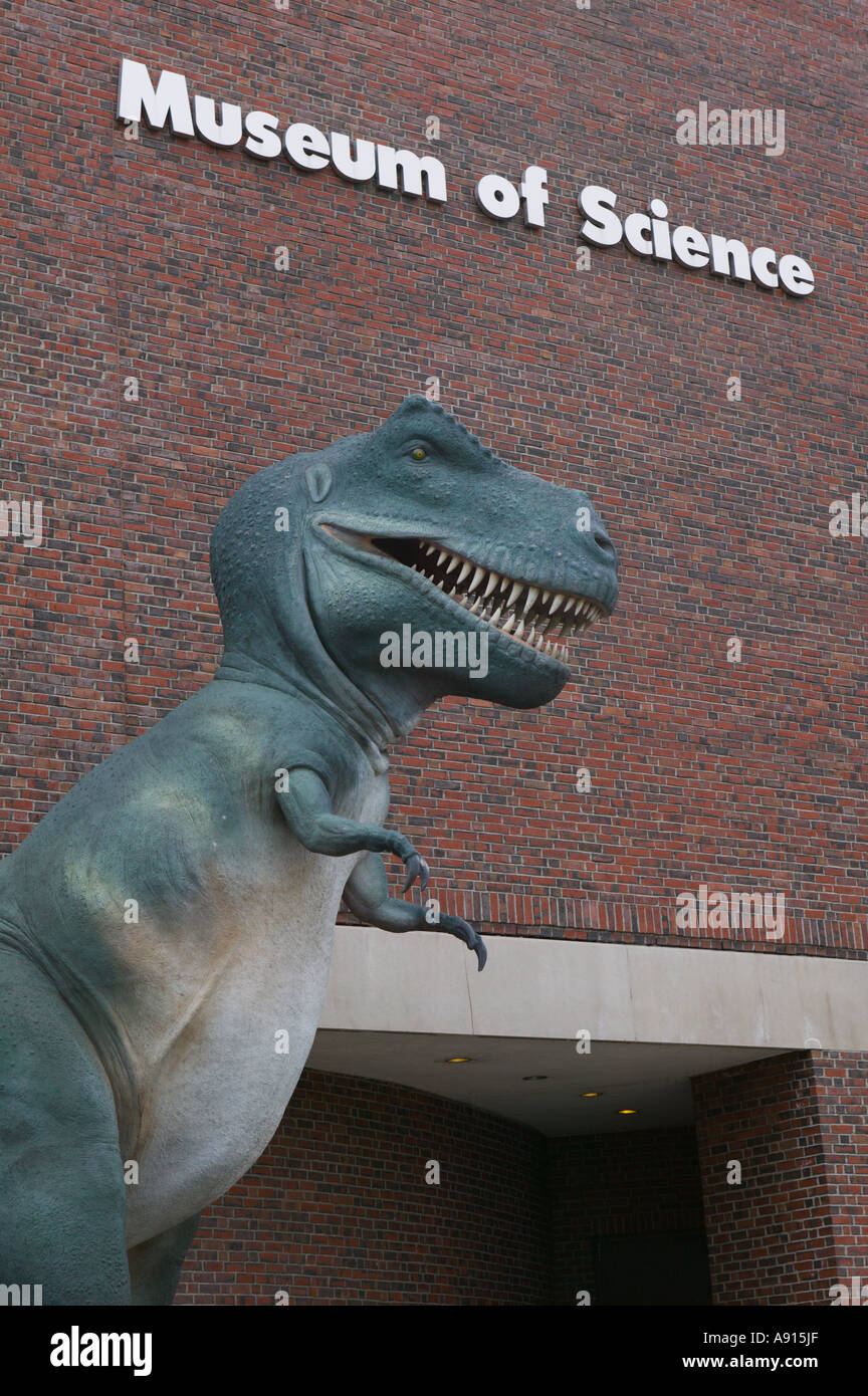 Tyrannosaurus Rex outside Museum of Science Boston Stock Photo - Alamy