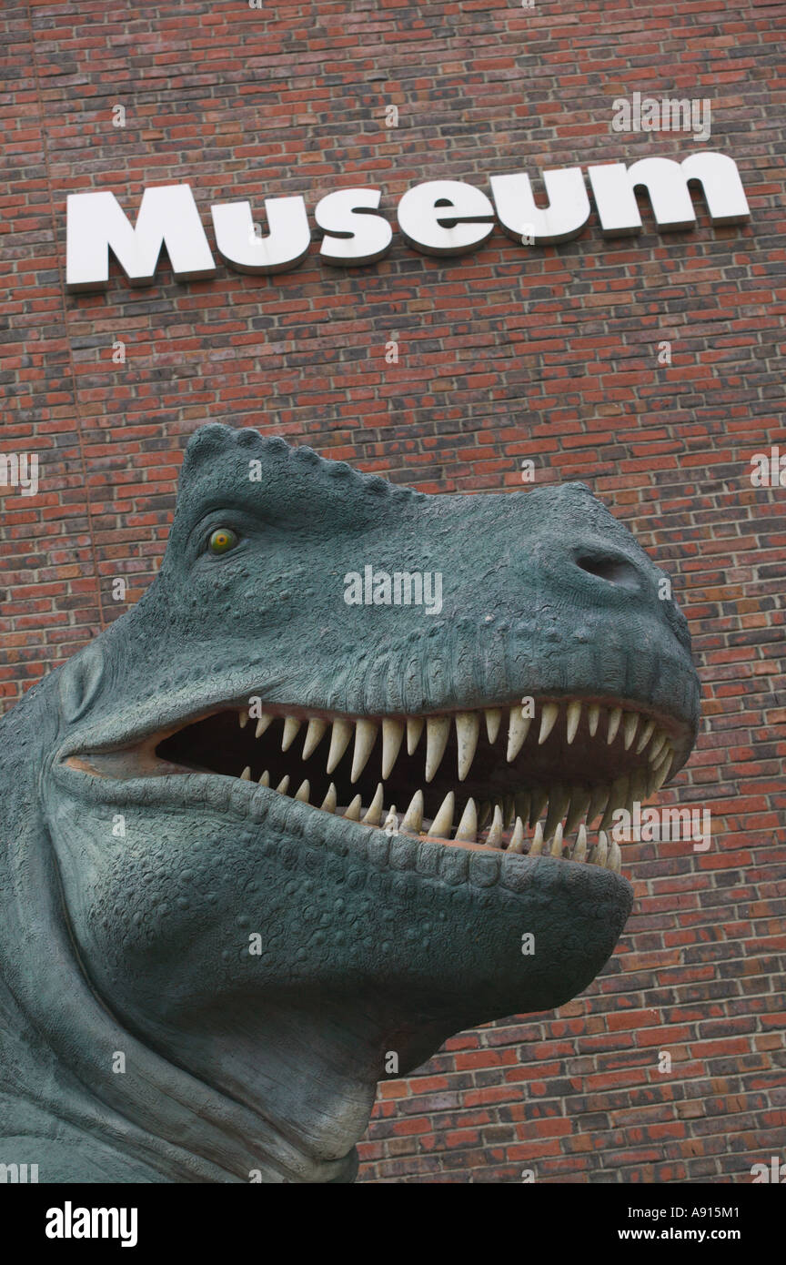 Tyrannosaurus Rex outside Museum of Science Boston Stock Photo - Alamy