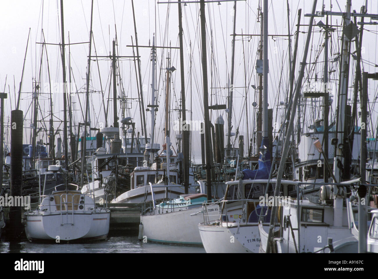 Northern California Fishing Boat Harbor Stock Photo - Alamy