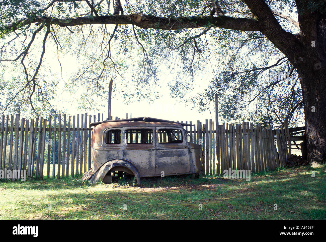 Old Car, Tree, and Fenceline Stock Photo - Alamy