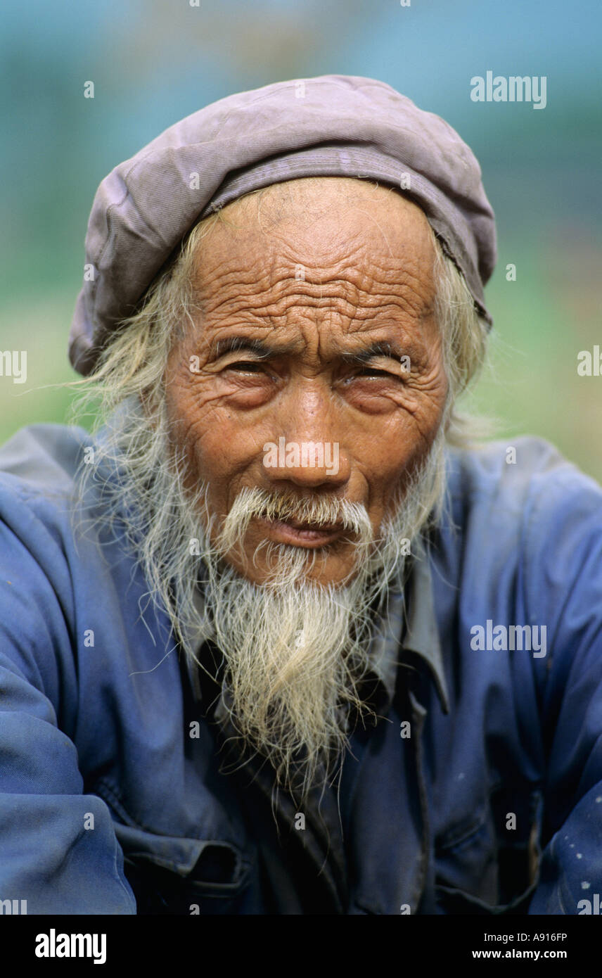 Old chinese man with white beard hi-res stock photography and images ...