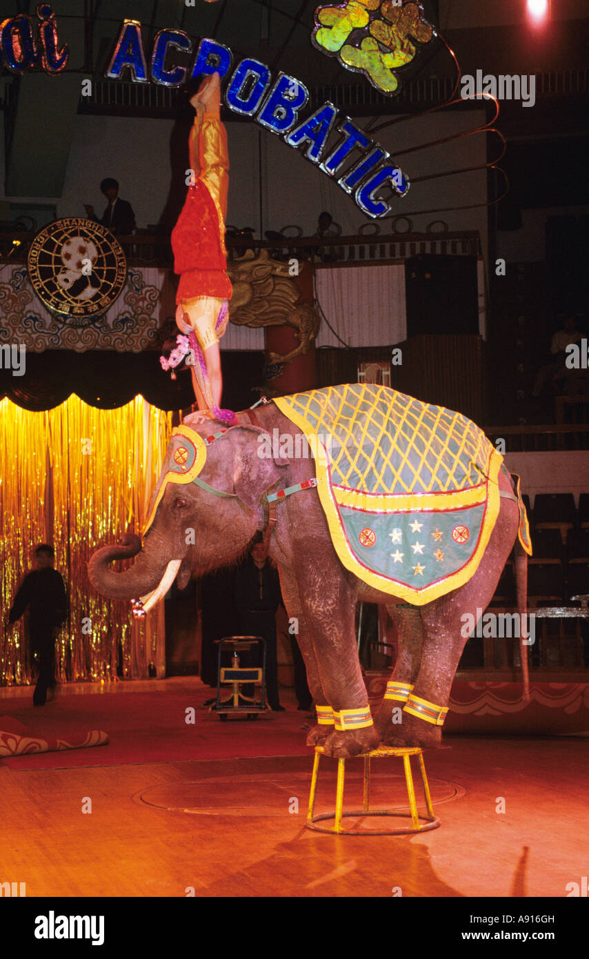 Shanghai acrobats hi-res stock photography and images - Alamy