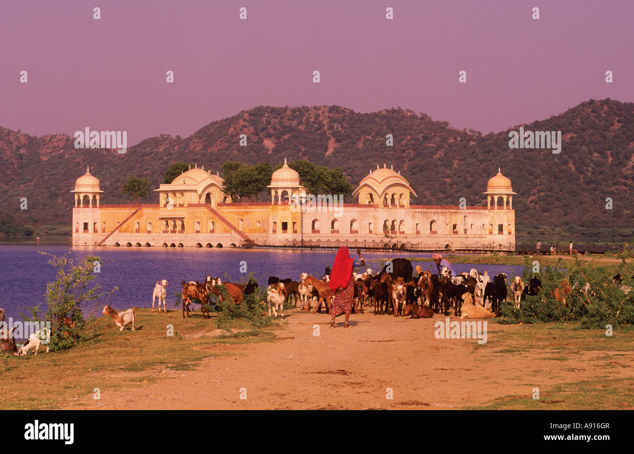 Jal Mahal Palace, Jaipur, Rajasthan, India Stock Photo - Alamy