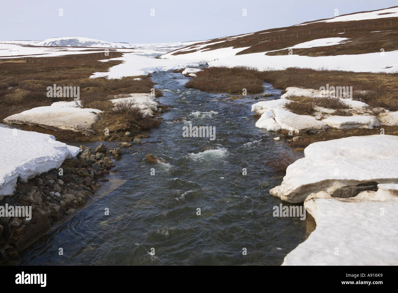 Tundra River