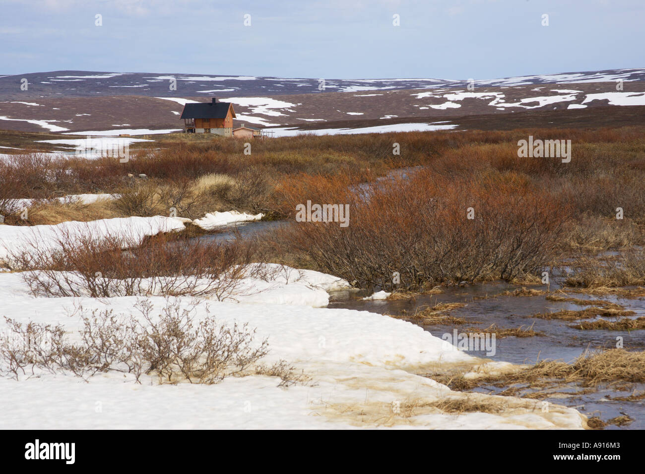 Tundra landscape hi-res stock photography and images - Alamy