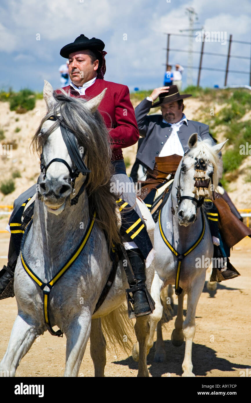 Elegant horseman in traditional spanish costume riding at a local ...