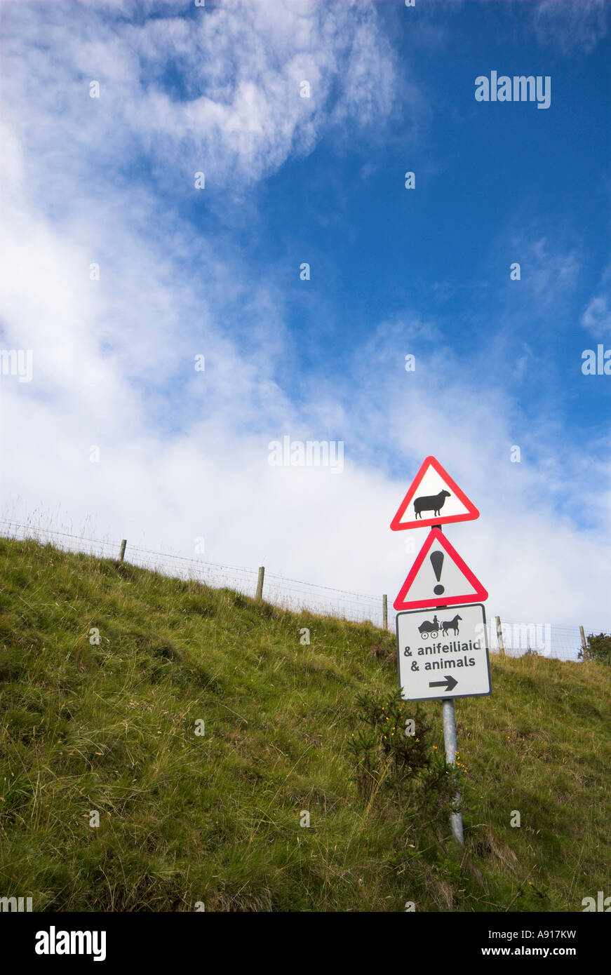 Welsh road sign Stock Photo - Alamy