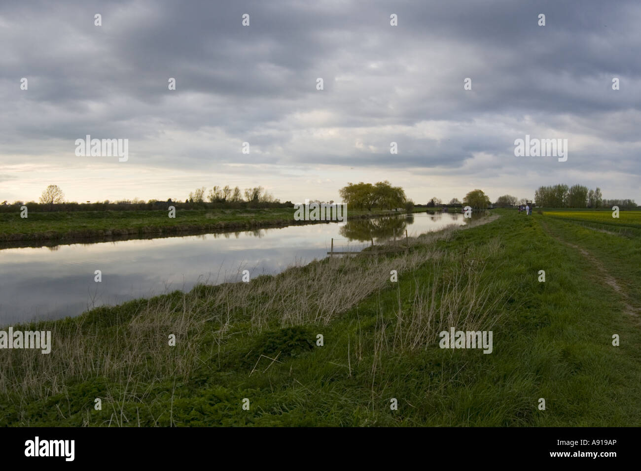 River Cam in Cambridge Stock Photo - Alamy