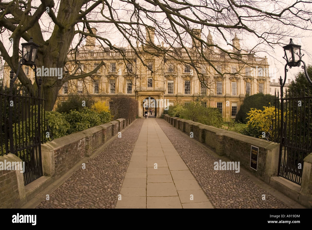 Clare College University entrance Cambridge UK Stock Photo - Alamy