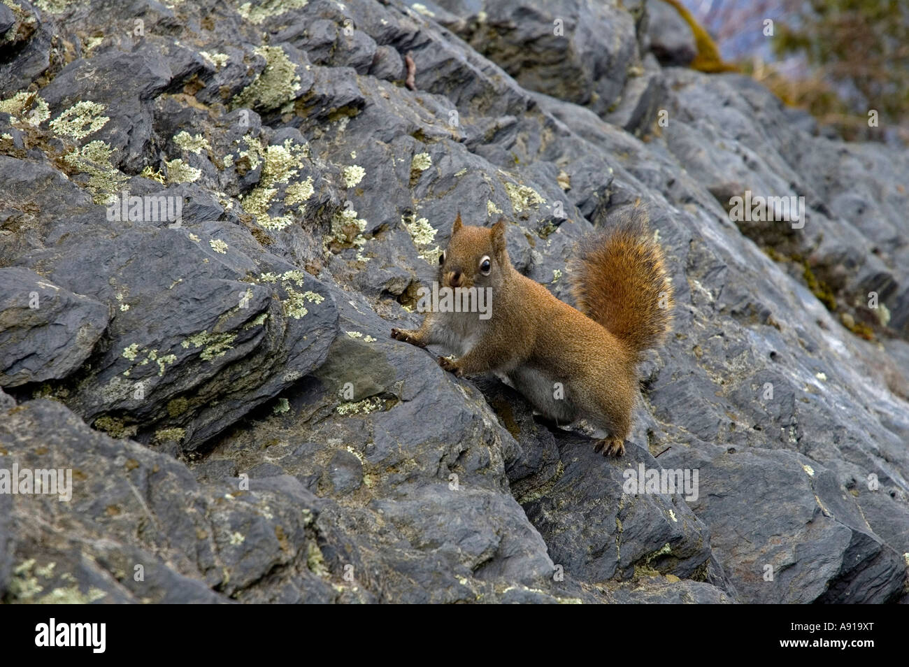 Chimneys nature trail hi-res stock photography and images - Alamy