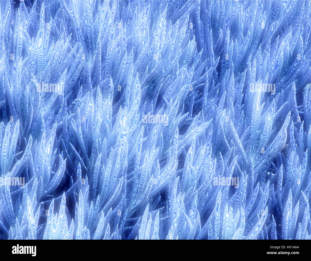 Digital Ethereal Plants An Original Creation Stock Photo - Alamy