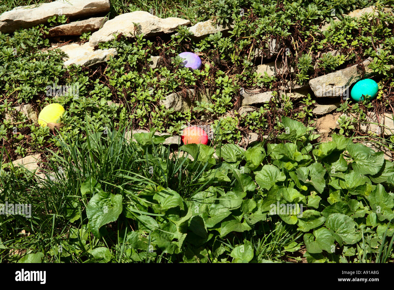 Hidden easter egg hi-res stock photography and images - Alamy