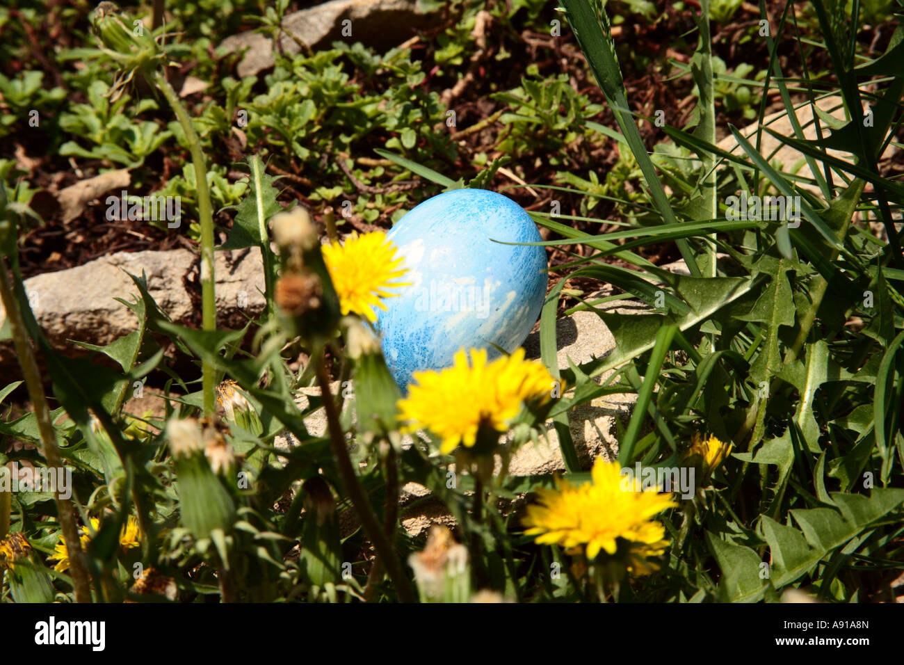 Hidden Easter Eggs Stock Photo - Alamy Hidden Easter Eggs Stock Photo - Alamy