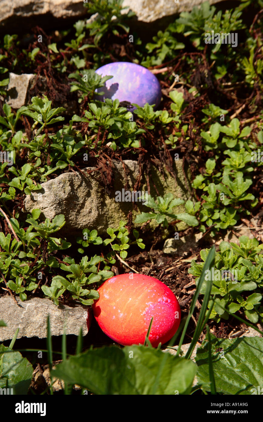 Hidden easter egg hi-res stock photography and images - Alamy