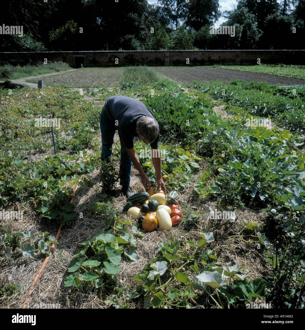 Laverstock hi-res stock photography and images - Alamy