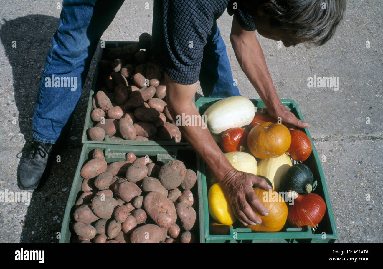 Vegetable box scheme hi-res stock photography and images - Alamy