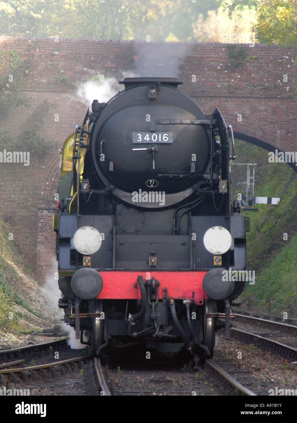 A steam train going under a bridge Stock Photo - Alamy