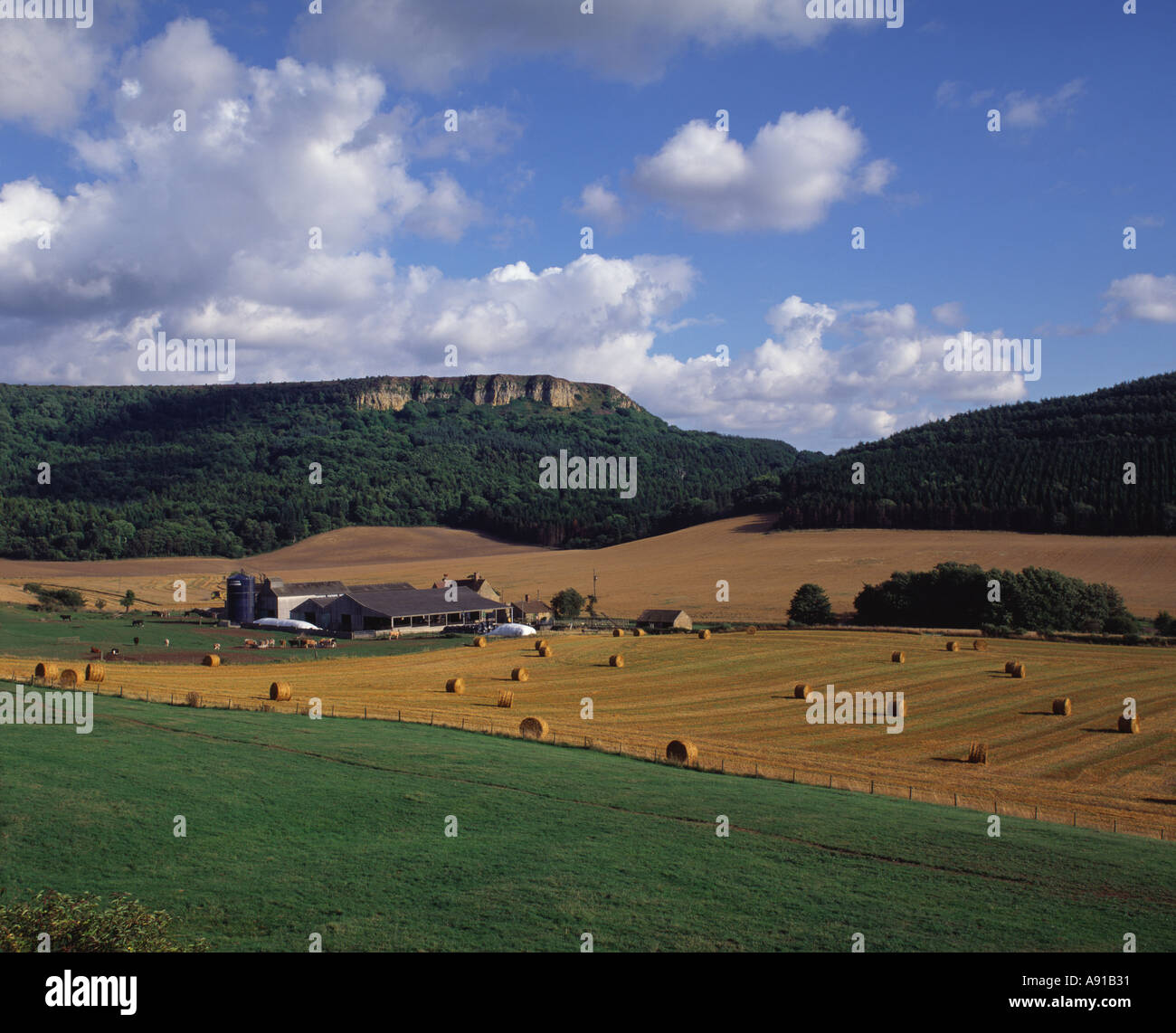 Farm at Sutton Bank North Yorkshire England Stock Photo - Alamy
