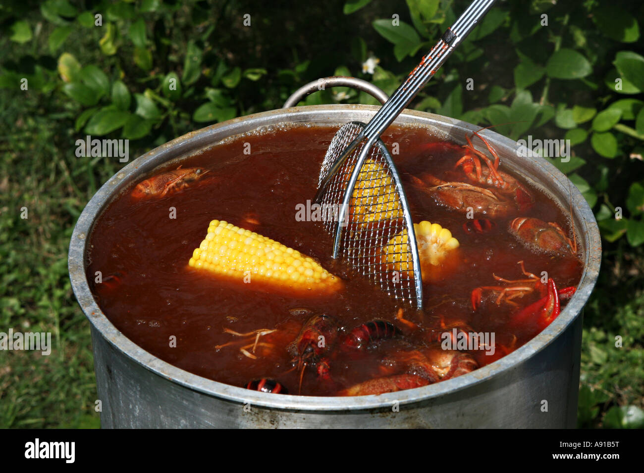 A pot of boiling crawfish Stock Photo - Alamy