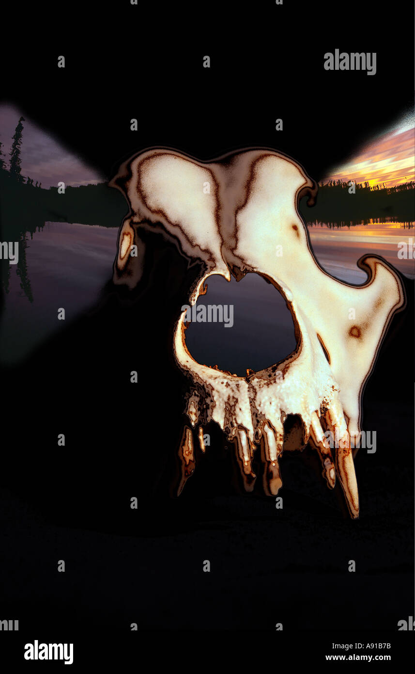 Skeleton lake bones hi-res stock photography and images - Alamy