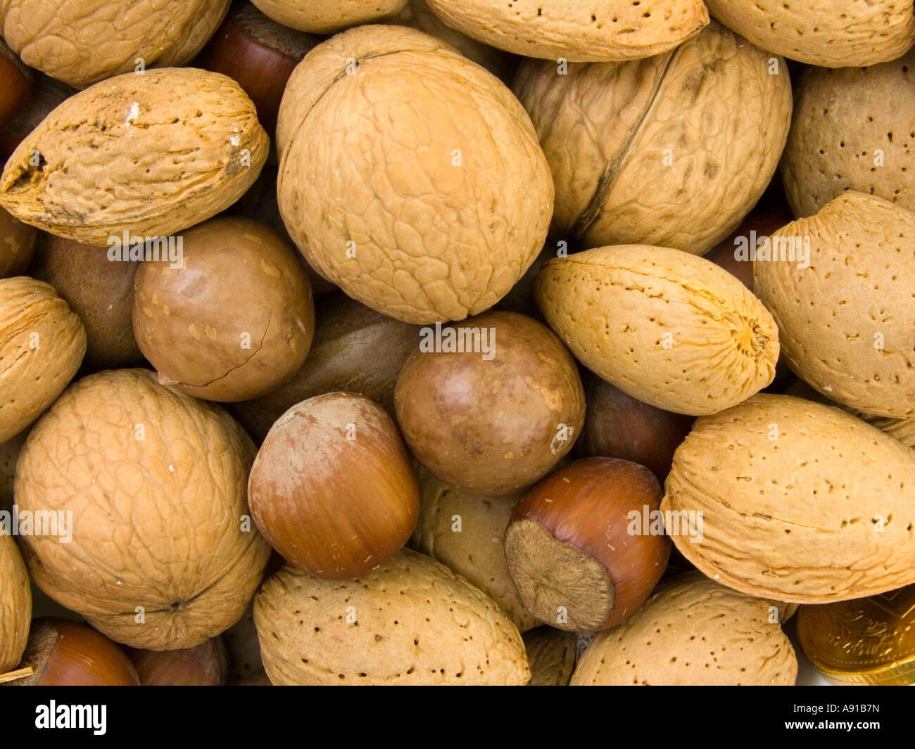 A selection of nuts in their shells Stock Photo - Alamy