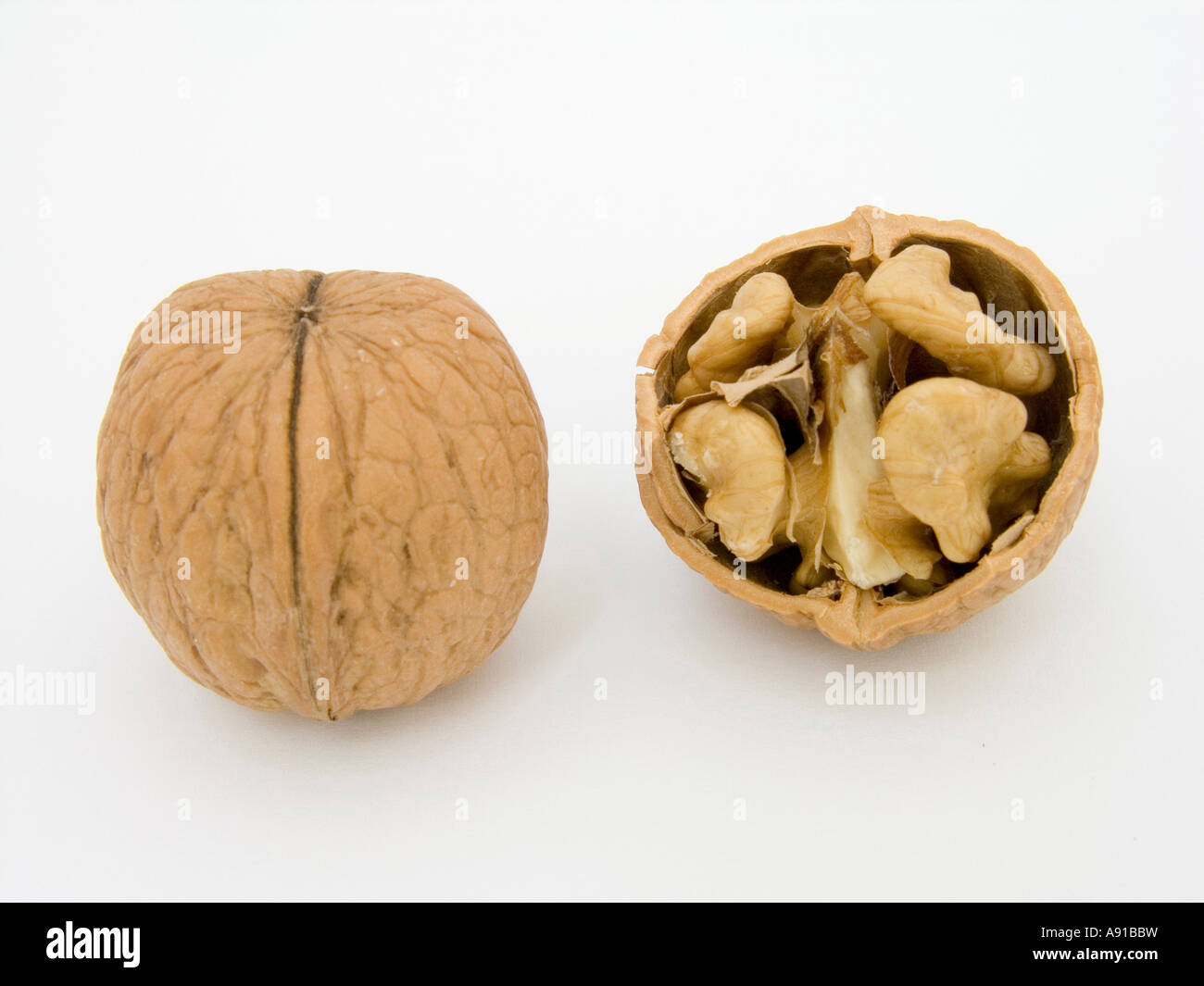 A whole walnut and a halved walnut on a white background Stock Photo ...