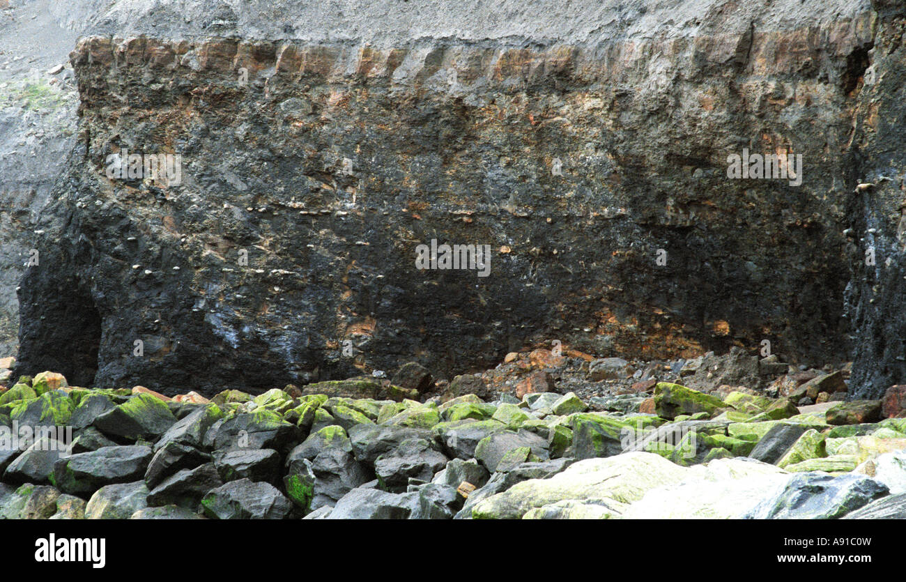 Eroding Cliffs and sea defences, Whitby, North Yorkshire, England Stock ...