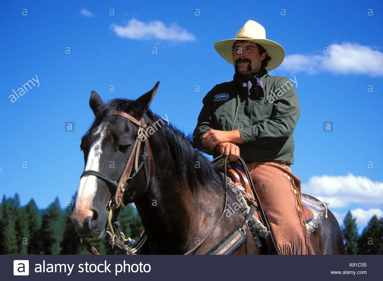 Western Cowboy Stock Photos & Western Cowboy Stock Images - Alamy