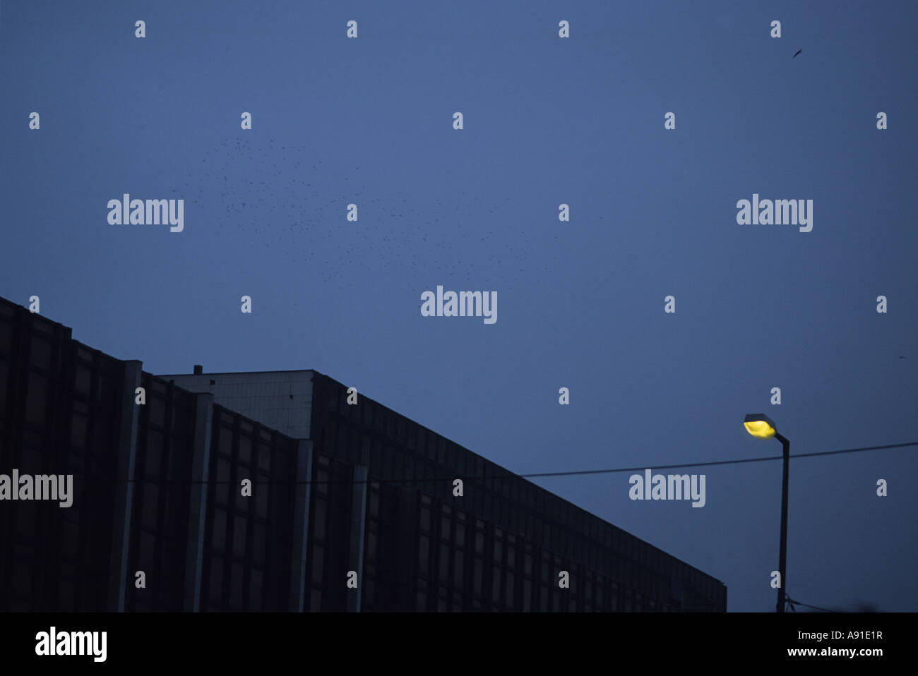 December evening Berlin Stock Photo - Alamy