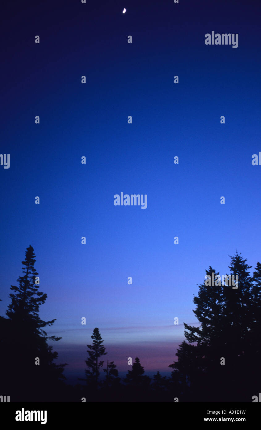 Moonrise and sunset over forest Stock Photo - Alamy