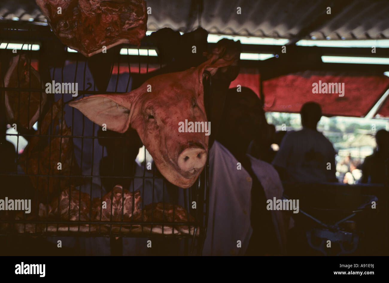 Santiago de cuba pig hi-res stock photography and images - Alamy