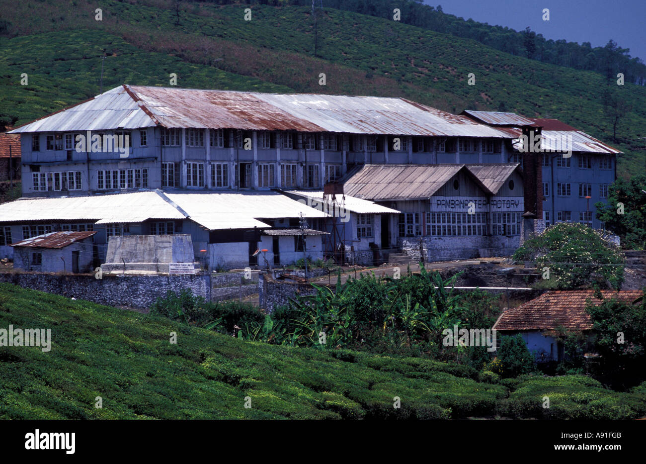 INDIA: Tamil Nadu. Tea processing factory Stock Photo - Alamy