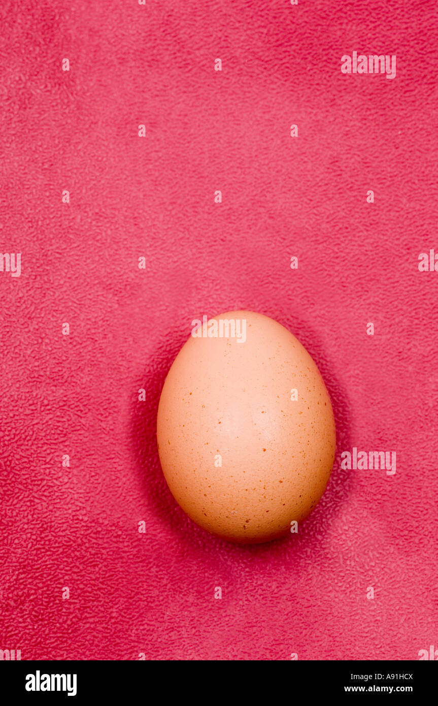 Egg pic hi-res stock photography and images - Alamy