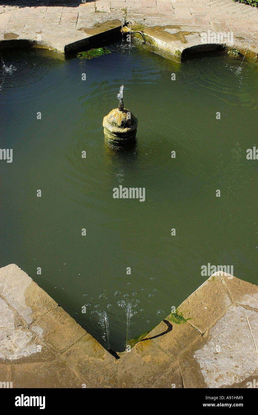 Arabic fountain in Generalife Palace, La Alhambra, Granada province ...