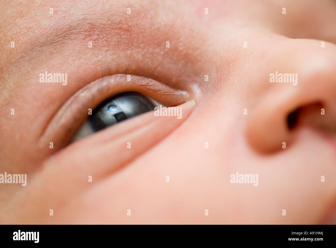 Conceptual image human eye anatomy hi-res stock photography and images ...