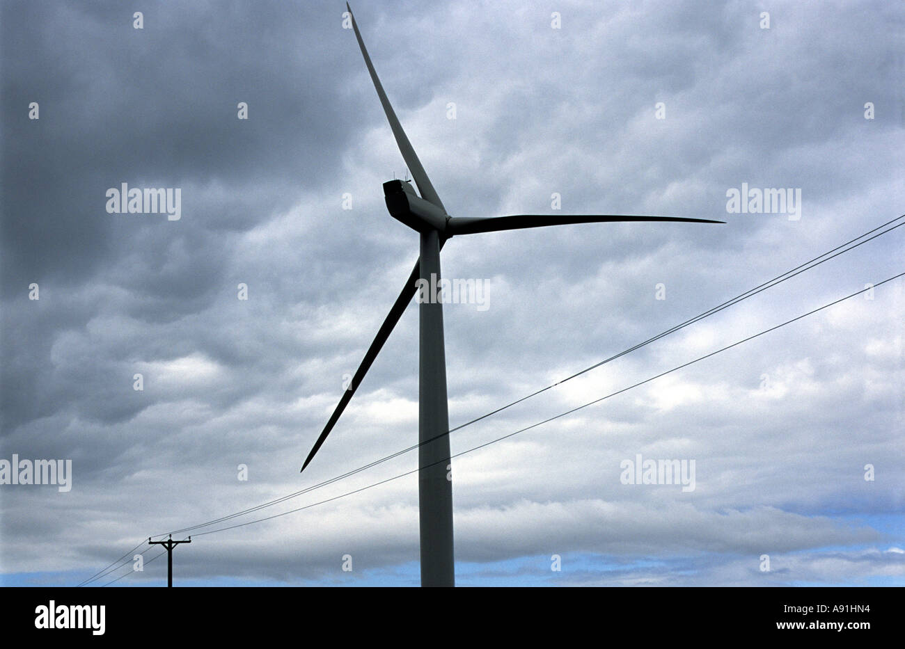 Neg micon hi-res stock photography and images - Alamy