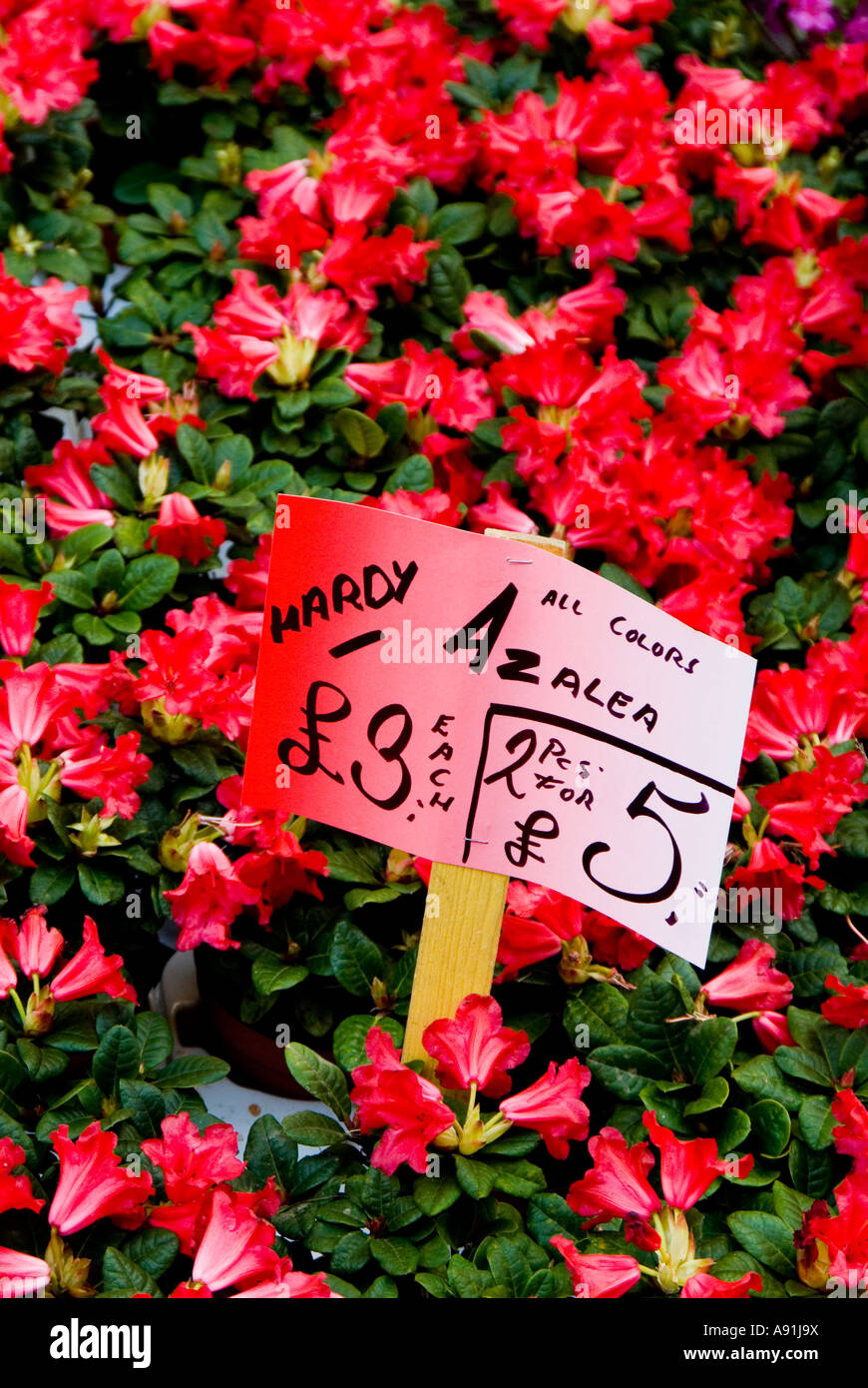 Red color tags hi-res stock photography and images - Alamy