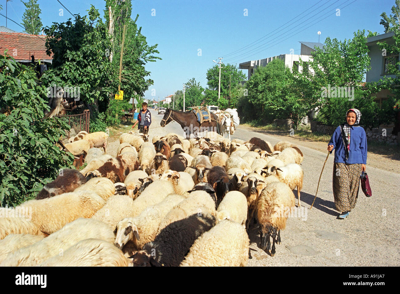 Turkey Country Turkish People Food Stock Photos & Turkey Country ...